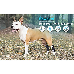 Dog Leg Braces for Rear Legs, Hock Brace for Back Legs with Metal Strips and Safety Reflective Straps for Short Legs, Joint Warps Support for Hind Legs Injuries Sprains Arthritis (XSmall)