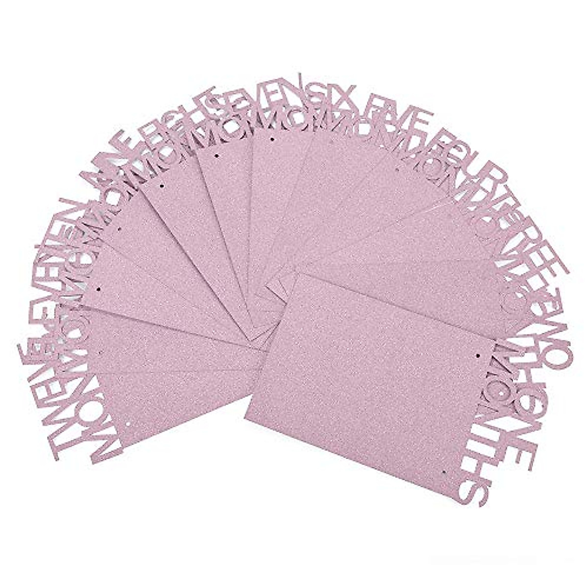 Toxz Kids Birthday Gift Photo Wall Decorations with 1-12 Month Milestone Photo Banner Monthly,Hangging Decor,for Kids Birthday Gift(Ship from US!)