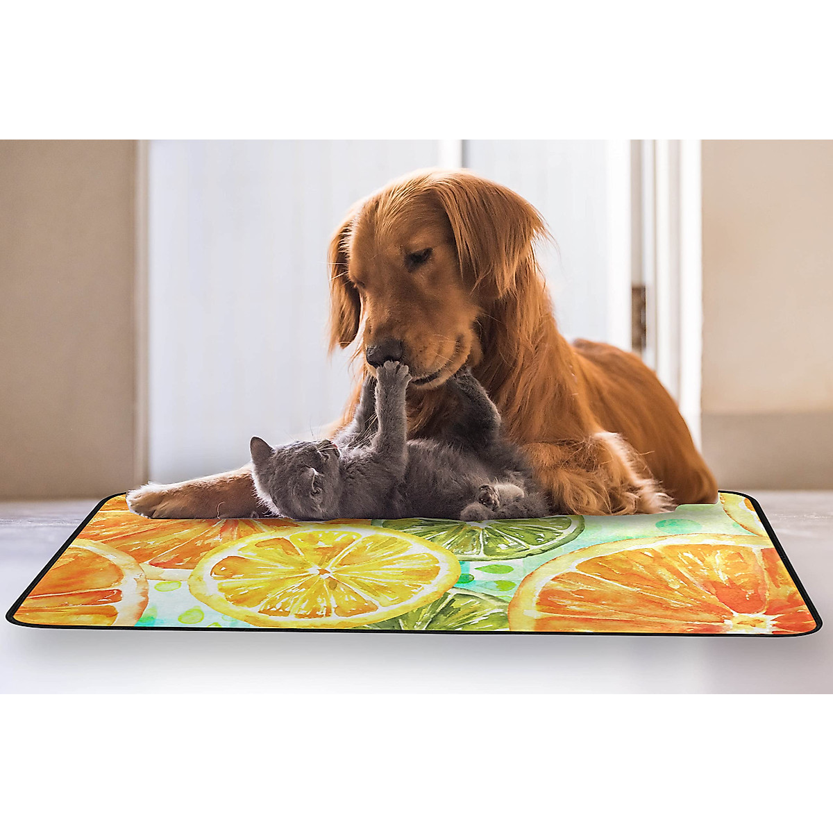 Lemon Kitchen Mat Orange Kitchen Rugs Floor Mat Anti Fatigue Non Skid Washable Bath Rug Runner Doormats Carpet Sink Mat Lemon Kitchen Decor 39 X 20 inch