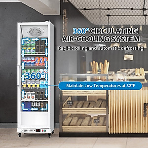 Towallmark Commercial Display Refrigerator, 12.4 Cu.Ft. Beverage Refrigerator Display Fridge, Upright Glass Door Merchandiser Fridge Beverage Cooler with LED Light, Adjustable Shelves