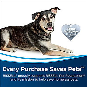 Bissell Carpet Cleaners Rinse & Storage Tray-ProHeat 2X Revolution Pet Pro, 3263, Black