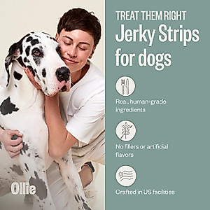 Ollie Belly Rubs Dog Probiotic Chews - Probiotics for Dogs and Ollie Chicken and Apple Recipe Jerky Dog Treats - Dog Jerky Treats All Natural