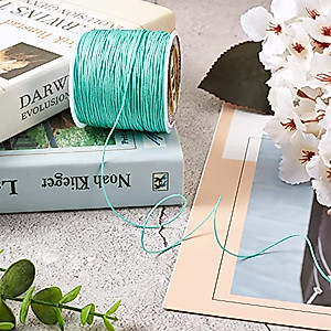 Cheriswelry 100M 0.8mm Nylon Beading Cord Aquamarine Chinese Knotting Rattail Macrame Thread String Roll for Jewelry Making Kumihimo Wrapping Supplies DIY Crafts