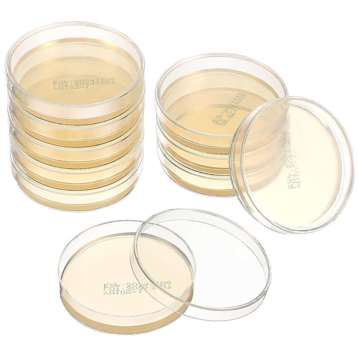 Generic Agar Plates:Prepoured Nutrient Agar Petri Dishes Science Projects Supplies Growth Medium for Mushrooms & Science Fair Projects,10 pcs