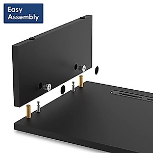 FITUEYES Dual Monitor Stand – 3 Shelf Computer Monitor Riser, Wood Desktop Stand with Adjustable Length and Angle, Desk Accessories, Office Supplies Light Black,DT111101WB