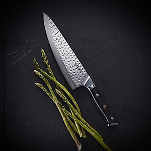 Sasaki Takumi Japanese AUS-10 Stainless Steel Chef Knife with Locking Sheath, 8-Inch, Black