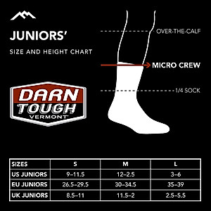 Darn Tough Vermont Light Hiker Jr. Micro Crew Lightweight with Cushion WILLOW