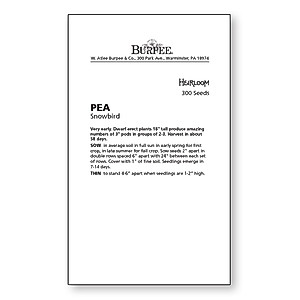 Burpee Snowbird Pea Seeds 300 seeds