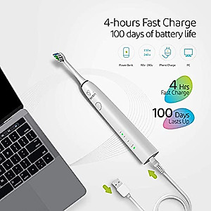 Dentin Sonic Electric Toothbrush with 8 Toothbrush Heads, 100 Day Battery Life, Rechargeable Battery, Travel case and Wall Charger Included… (White)