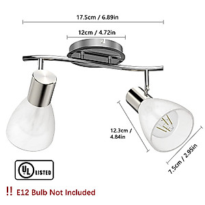 DLLT Industrial Track Lighting, Directional Spot Wall Light with Glass Shade, 2-Light Adjustable Flush Mount Tracking Light for Kitchen, Office, Bedroom, Picture Wall, Hallway, E12 Base