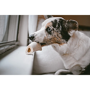 Cadet Stuffed Shin Bones - Highly Digestible, High Protein, Long-Lasting Dog Chew Bone for Aggressive Chewers, Supports Dental Health, - Peanut Butter Flavor, Small (3 Count)