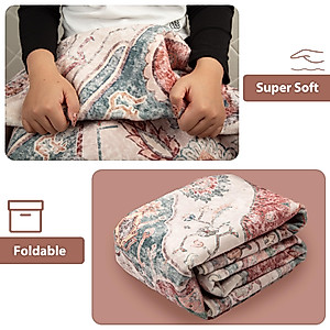 RELEANY 5x7 Area Rugs Machine Washable 5x7 Rug Low Pile Carpet No Shedding Area Rugs for Living Room Bedroom Dining Room Kitchen Entrance Indoor-Brick/Pink