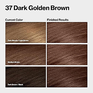 Revlon Permanent Hair Color, Permanent Brown Hair Dye, Colorsilk with 100% Gray Coverage, Ammonia-Free, Keratin and Amino Acids, Brown Shades (Pack of 3)
