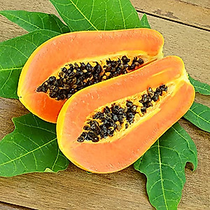 YEGAOL Garden 10Pcs Dwarf Waimanalo Papaya Fruit Tree Seeds Fast-Growing Perennial Non-GMO Tropical Sweet Fruit Patio Plant