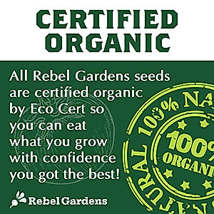 Organic Microgreen Seeds - Non-GMO Microgreens Sprouting Kit - Broccoli, Kale, Spicy, Mild, and Sandwhich Mix for Planting Indoor Sprouts