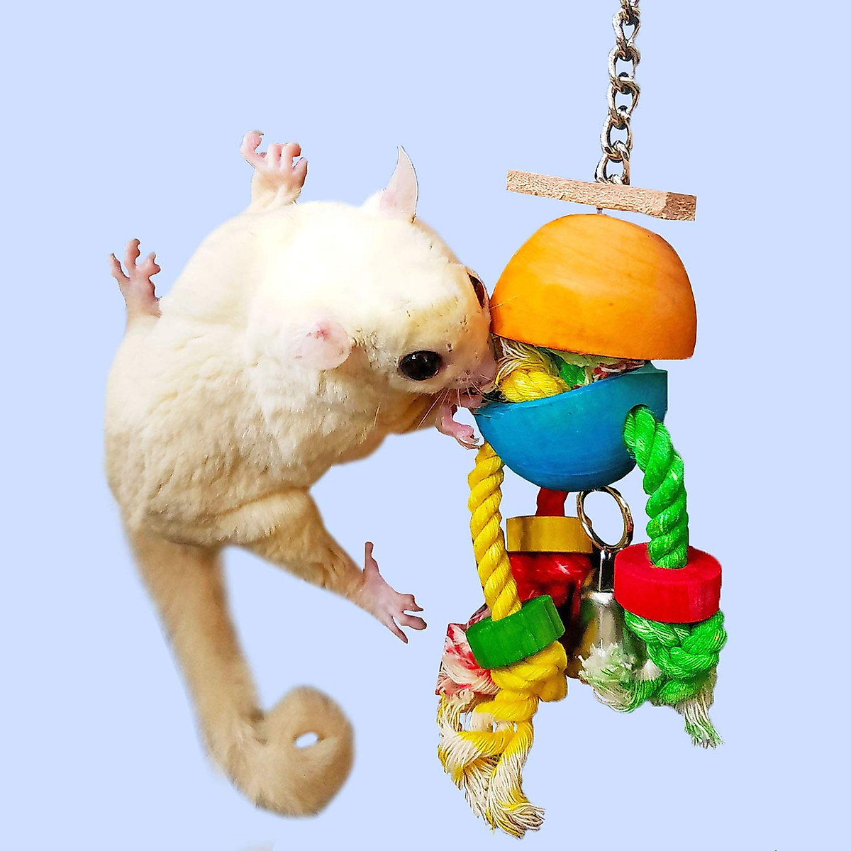 Cage Enhancement Set - Interactive Climbing Foraging Natural Branch Perch Cage Accessory Toy Bundle - for Sugar Gliders, Rats, Ferrets, Hamsters, Squirrels, Parrots, Birds, Marmosets, Degus, Monkeys