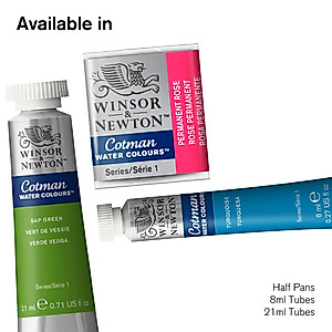 Winsor & Newton Cotman Watercolor Paint, 8ml (0.27-oz) Tube, Payne's Gray