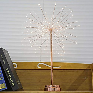 TQNSSM Remote Control LED Copper Wire Fireworks Lights for Home Outdoor Garden Courtyard Wedding Decoration(White)