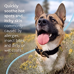 Veterinary Formula Clinical Care Hot Spot & Itch Relief Medicated Shampoo for Dogs and Cats 16oz – Helps Alleviate Sensitive Skin, Scratching, and Licking of Coat