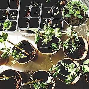 ZeeDix 100 Pcs 30mm Peat Pellets Seed Starter Soil Pods Plugs for Vegetable, Seedling Soil Block Compressed Peat Nutrient Seed Pods for Planting Easy Transplant with 100 Plant Labels & 2 Garden Tools