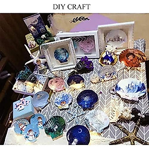 10 PCS 4-5 inch Large Scallop Shells Baking Sea Shells Large Natural White Scallop Shell From Sea Beach For DIY Craft Decor