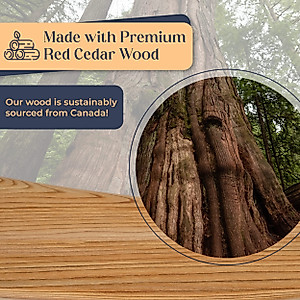 Pasithea Canadian Red Cedar Sauna Bucket and Ladle with Wooden Bottom - Handmade, 1 Gallon (4L) Plastic Liner, and Natural Rope Handle - Premium Sauna Accessories Kit with Sauna Ladle and Bucket