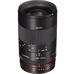 Samyang SY14M-E 14mm F2.8 Ultra Wide Lens for Sony E-Mount (Renewed)
