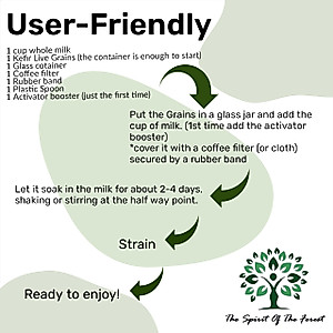 1 SET Milk Kefir Grains Set Starter Culture, Fresh Live Active Probiotic Start your own Kefir Culture at Home, Bulgaros de Leche, Pajaritos, Homemade Kefir Milk