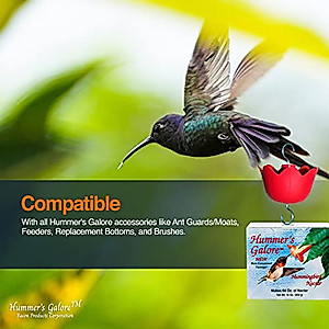 Hummer's Galore Hummingbird Food - Ready-to-Mix Hummingbird Nectar, All-Natural Nectar Collector Formula, 3-Pack Makes 192 oz, No Preservatives or Dyes