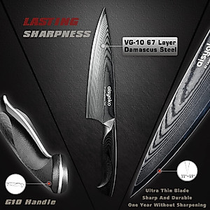 aisyoko Damascus Chef Knife 8 Inch Sharp Kitchen Knife Japan VG-10 Stainless Steel Carbon Ultra Sharp Kitchen Cooking Knife, Ergonomic G10 Handle Deluxe Gift Box