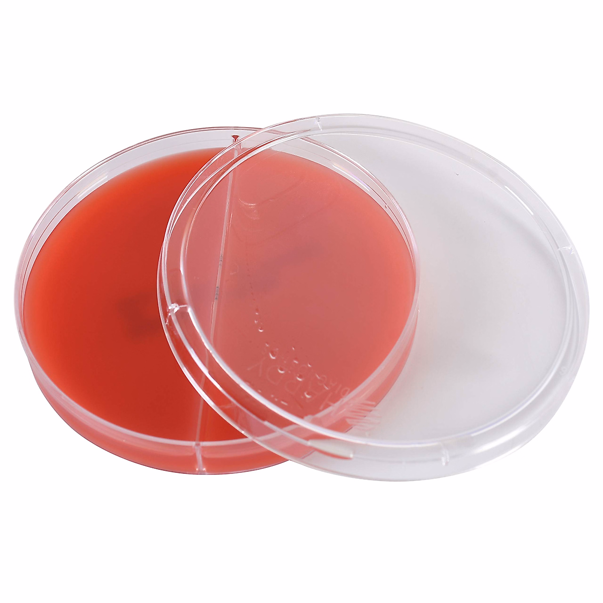 Blood Agar, 5 Percent/Blood Agar, 5 Percent, 15x100mm Biplate, Order by the Package of 10, by Hardy Diagnostics
