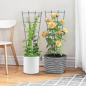 HiGift 4 Pack 24'' Garden Trellis for Climbing Plants Outdoor, Plant Trellis for Climbing Plants Indoor, Metal Plant Stakes Plant Trellis for Houseplant Vine Ivy Flowers