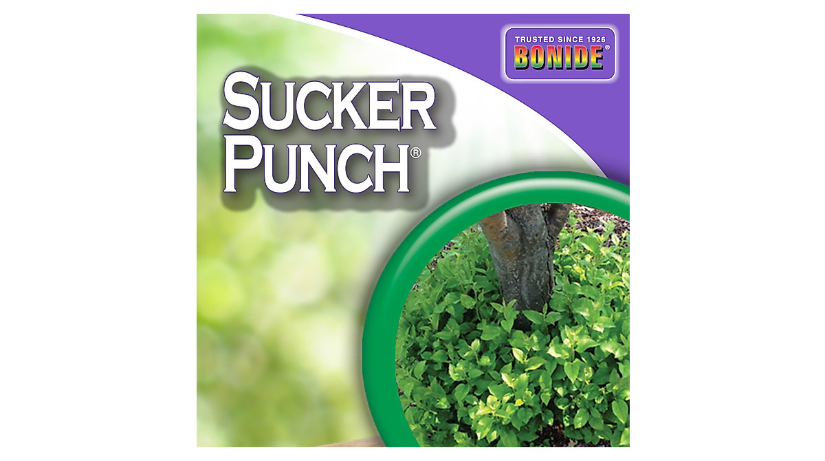 Bonide Sucker Punch 8 oz - Control Suckers & Regulate Plant Growth