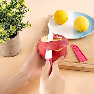 CHUYIREN Paring Knife, 4 Pcs Paring Knife with Sheath, 4" Vegetable and Fruit Knife, Stainless Steel Small Kitchen Knife for Cooking, Peeling, Slicing, Picnics,&Travel, Pink/Green/Yellow/Blue