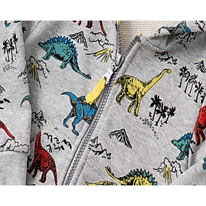 LeeXiang Toddler Boys Full Zip Dinosaur Hoodies Comfortable Sweatshirt (Dinosaur, 4-5T)
