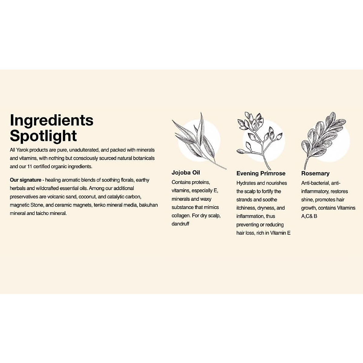 Yarok - Feed Your Ends Leave In Conditioner - Moisturize, Detangle & Protect - Hydrating & Nourishing - For Shiny, Smooth, Soft Hair - 100% Vegan - Gluten, Sulfate, Paraben & Cruelty Free - 4oz