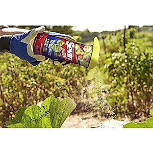 Garden Tech Dust Bug Killer Multiple Insects Rtu Carbaryl 1 Lb. (Pack of 2)