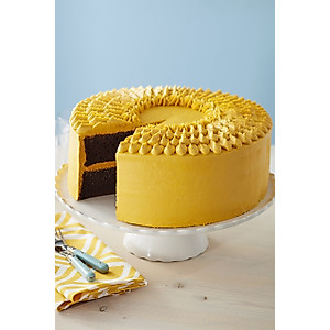 Wilton Cake Icing Smoother