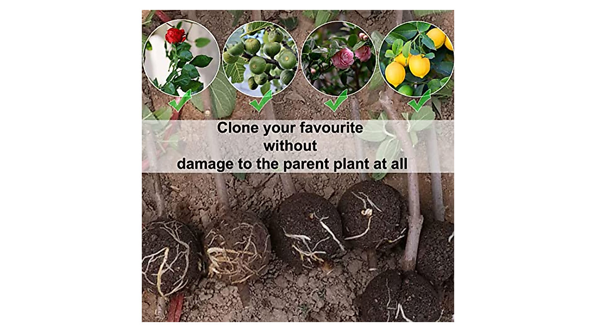 MIIIM 10 PCS Air Layering Propagation Kit for Fast Plant Rooting