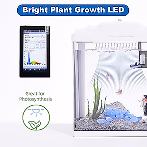 TARARIUM Glass Betta Fish Tank Set Up Aquarium Starter Kit Small Nano 2 Gallon with Waterfall Filter and Planted Light, Self Cleaning for Shrimp Goldfish Desktop Office Home Room Decor
