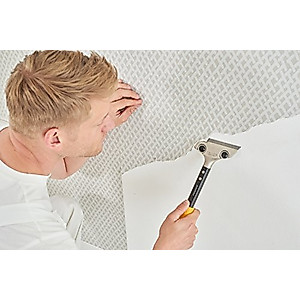 Tajima SCRL300 Scrape-Rite Reversible Blade Scraper, Silver/Black/Yellow, 265 mm