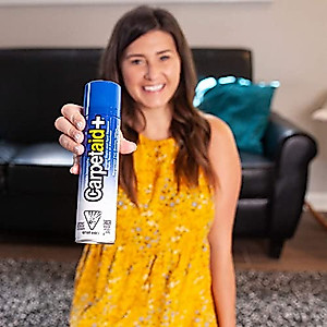 10 Oz. CarpetAid+ Carpet Stain Remover & Spot Cleaner (Pack of 6 Cans): Easily and Effectively Remove Food, Drink, Dirt, Mud, Pet, and Other Stubborn Stains Instantly; No Rubbing or Scrubbing