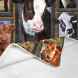 CUXWEOT Personalized Blanket with Name Text Custom Funny Cow Soft Fleece Throw Blanket for Gifts (50 X 60 inches)