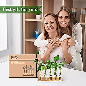 HUSSLEAN Propagation Stations Terrarium with Wooden Stand,Desktop Glass Vase Plant Holder for Hydroponics Water Plants Cutting,Home Garden Office Decor,Plant Holder Lover Gifts(5 Test Tubes Love)
