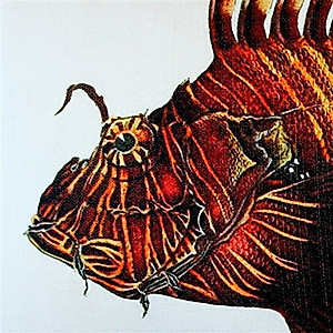 PILLOW DÉCOR Lionfish Fish Pillow 12x19