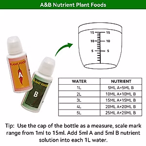 LYKO Basil Cilantro Dill Mint Seed Starter Kit for Hydroponics Growing System, Vegetable Pod Kits for Planting Indoor Garden 500+ Seeds (Basil, Parsley, Oregano, Thyme, Mint, Cilantro & Dill) 7 Pods