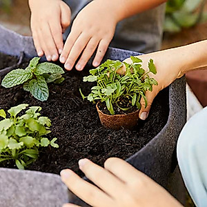 Back to the Roots Organic & Plantable Seed Starting Pots (24 CT)