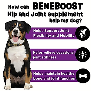 Dinovite BeneBoost Hip & Joint Liquid Food Topper for Dogs - Glucosamine Supplement - Joint Mobility Meal Topper - 16 oz