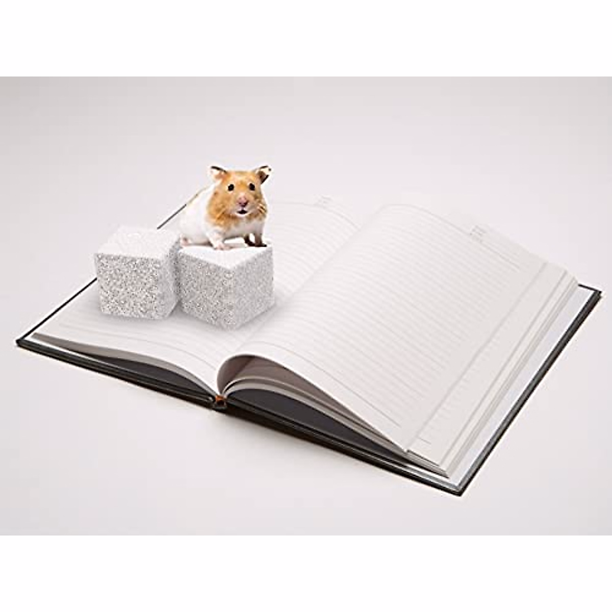 WANBAO 1.6 Inch Hamster Molar Lava Block, Small Animal Teeth Grinding Lava Block, for Rabbits, Parrots Etc 12 Pcs