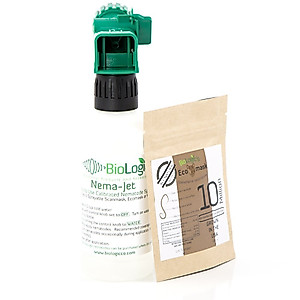 BioLogic Ecomask Beneficial Nematodes, 10 Million Steinernema carpocapsae (Sc) Nematodes for Natural Flea Control Plus Easy to Use Hose End Sprayer (Value Pack)